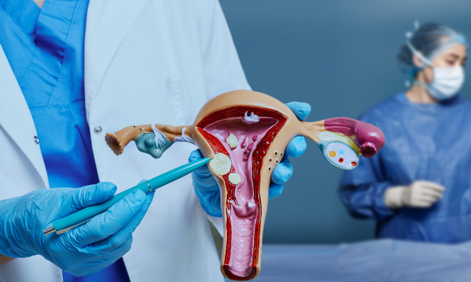 Gynäkologie - Frauenmedizin - Unsere Leistungen - Spital Schwyz